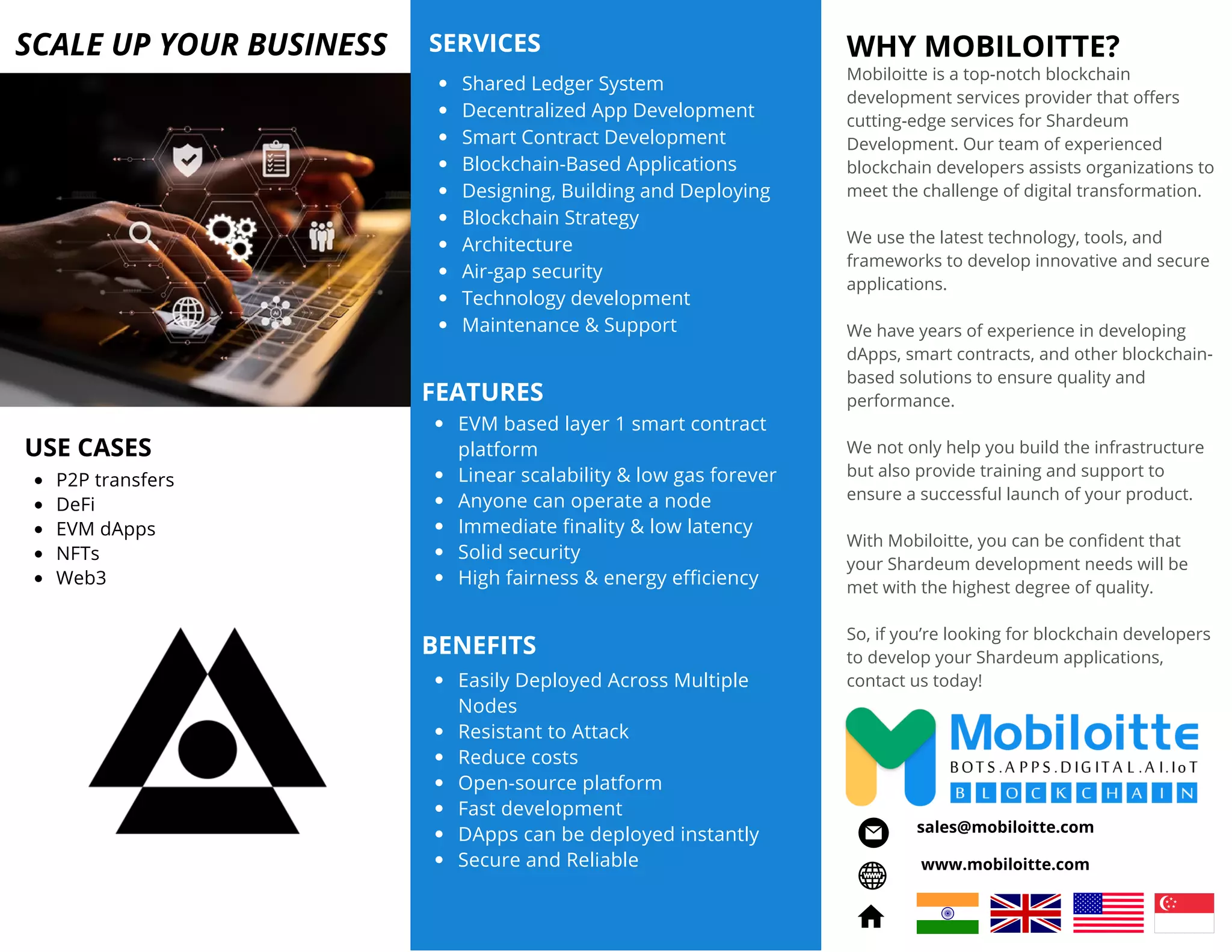 Shardeum Development Solutions | PDF