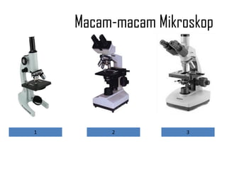 Perawatan Mikroskop | PDF