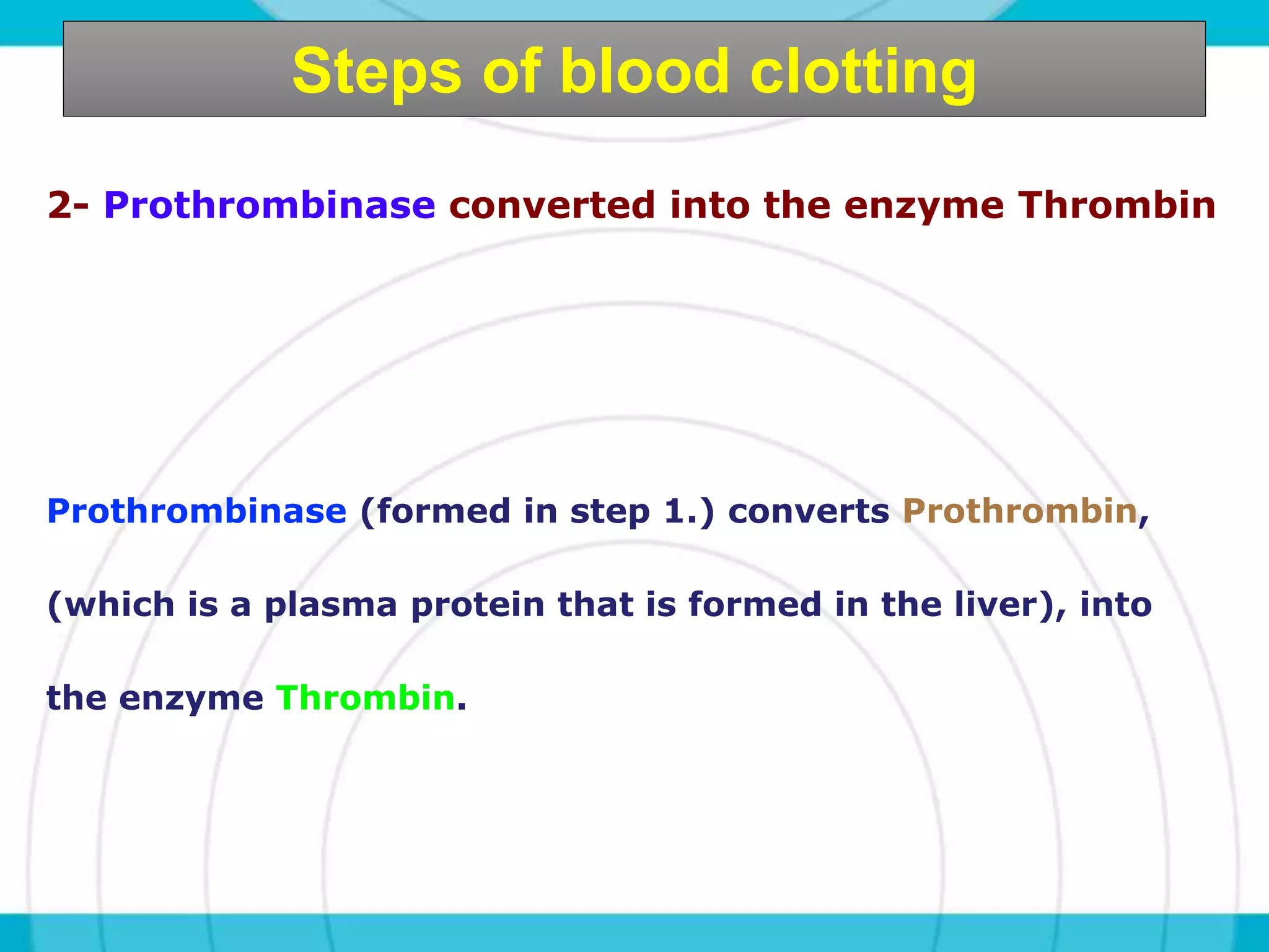 Haemostasis + Steps of blood clotting (coagulation) | PPTX