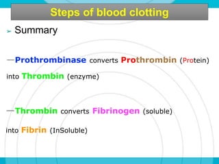 Haemostasis + Steps of blood clotting (coagulation) | PPTX
