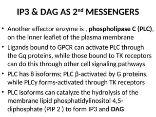 Share 2nd Messenger2 (1).ppt detail of stress management | PPT