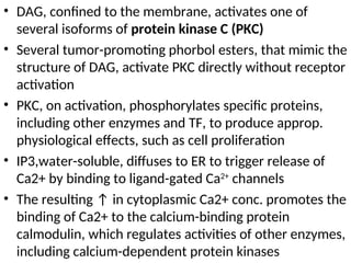 Share 2nd Messenger2 (1).ppt detail of stress management | PPT