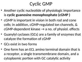 Share 2nd Messenger2 (1).ppt detail of stress management | PPT