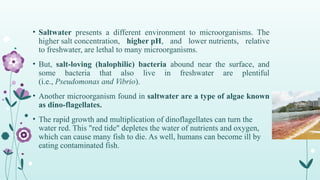 Share 4- Microbiology of water.pptx slides | PPTX