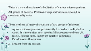 Share 4- Microbiology of water.pptx slides | PPTX
