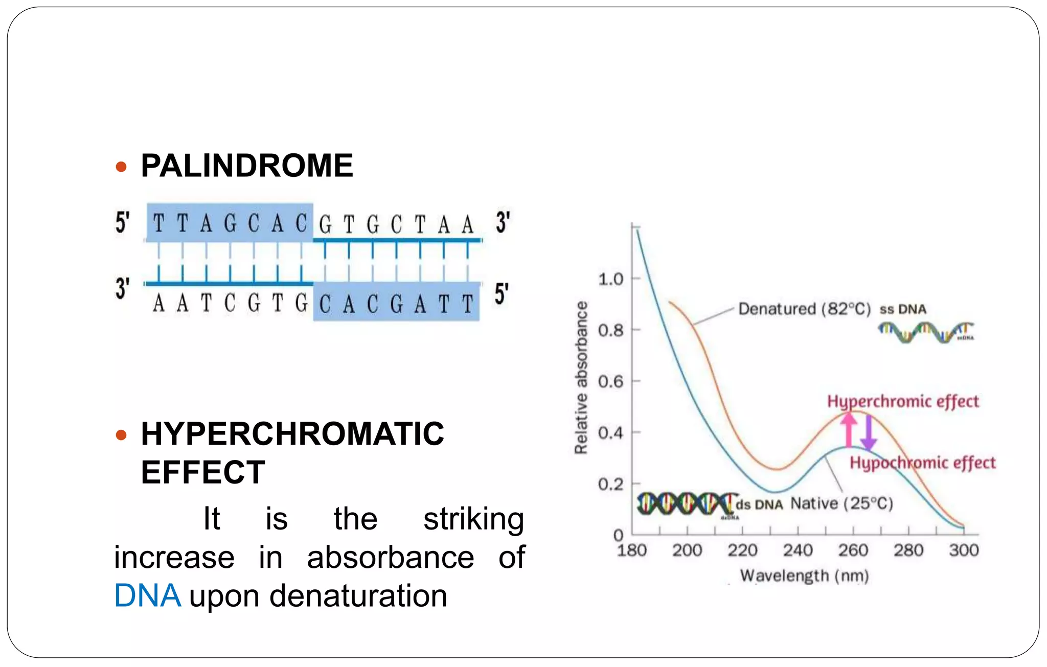 Nucleic acid and its chemistry - DNA, RNA, DNA as genetic material | PPTX