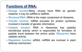 Nucleic acid and its chemistry - DNA, RNA, DNA as genetic material | PPT