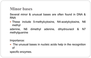 Nucleic acid and its chemistry - DNA, RNA, DNA as genetic material | PPT