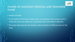 1st year BHMS Share Anatomical planes.pdf