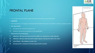 1st year BHMS Share Anatomical planes.pdf