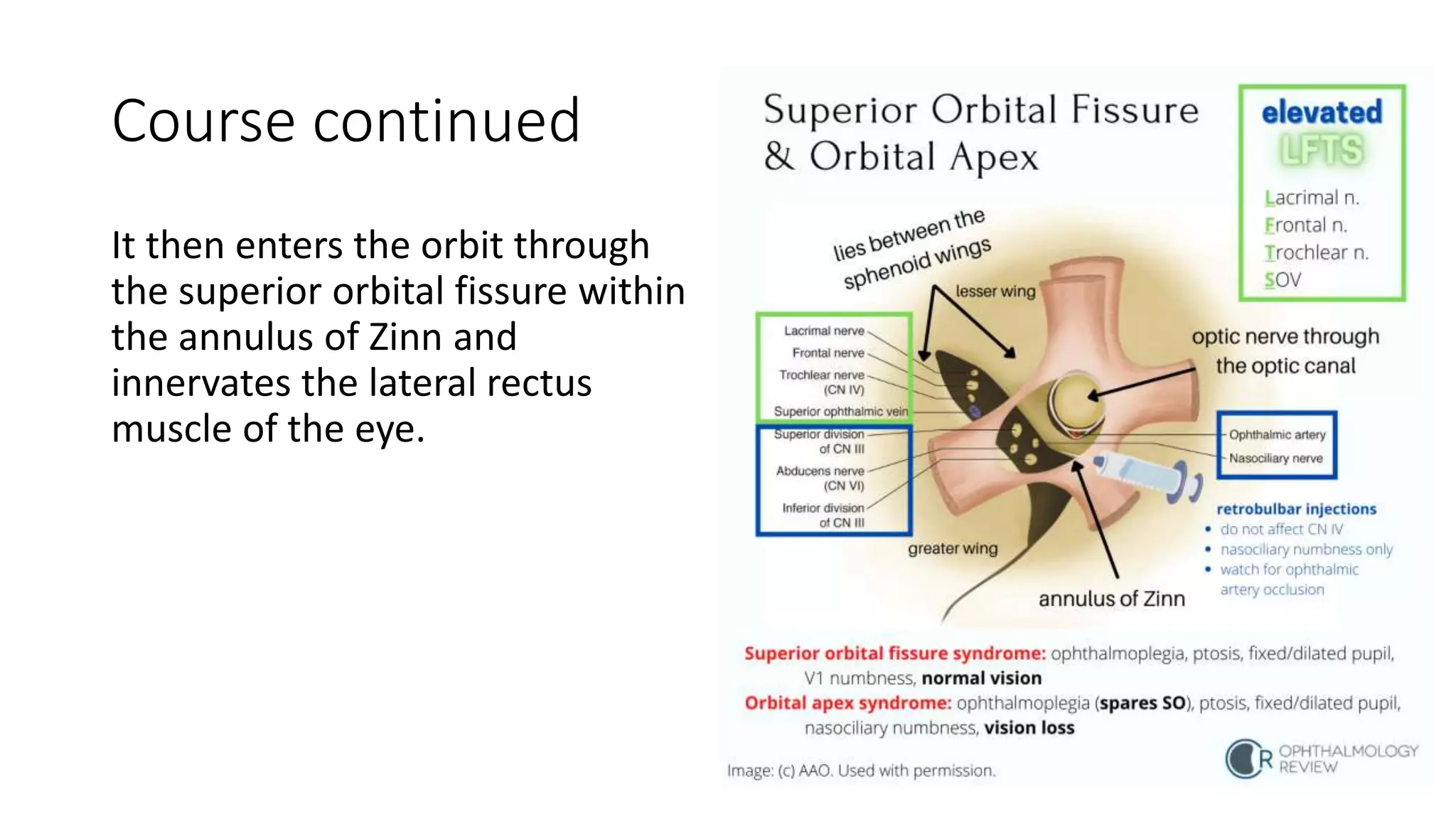 Anatomy of 6th cranial nerve.pptx