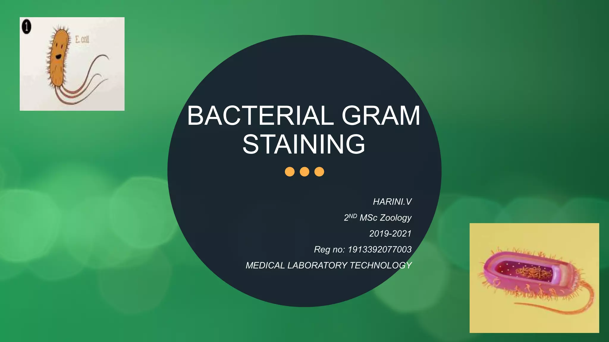 Bacterial gram staining | PPT