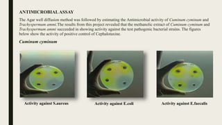 Comprehensive Phytochemical Analysis and Bioactivity Assessment of-1.pptx