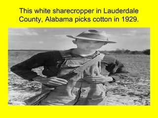Sharecropping and prejudice | PPT