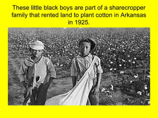 Sharecropping and prejudice | PPT
