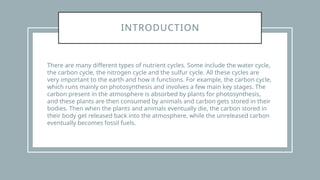 Prominent nutrient cycles and agriculture | PPTX