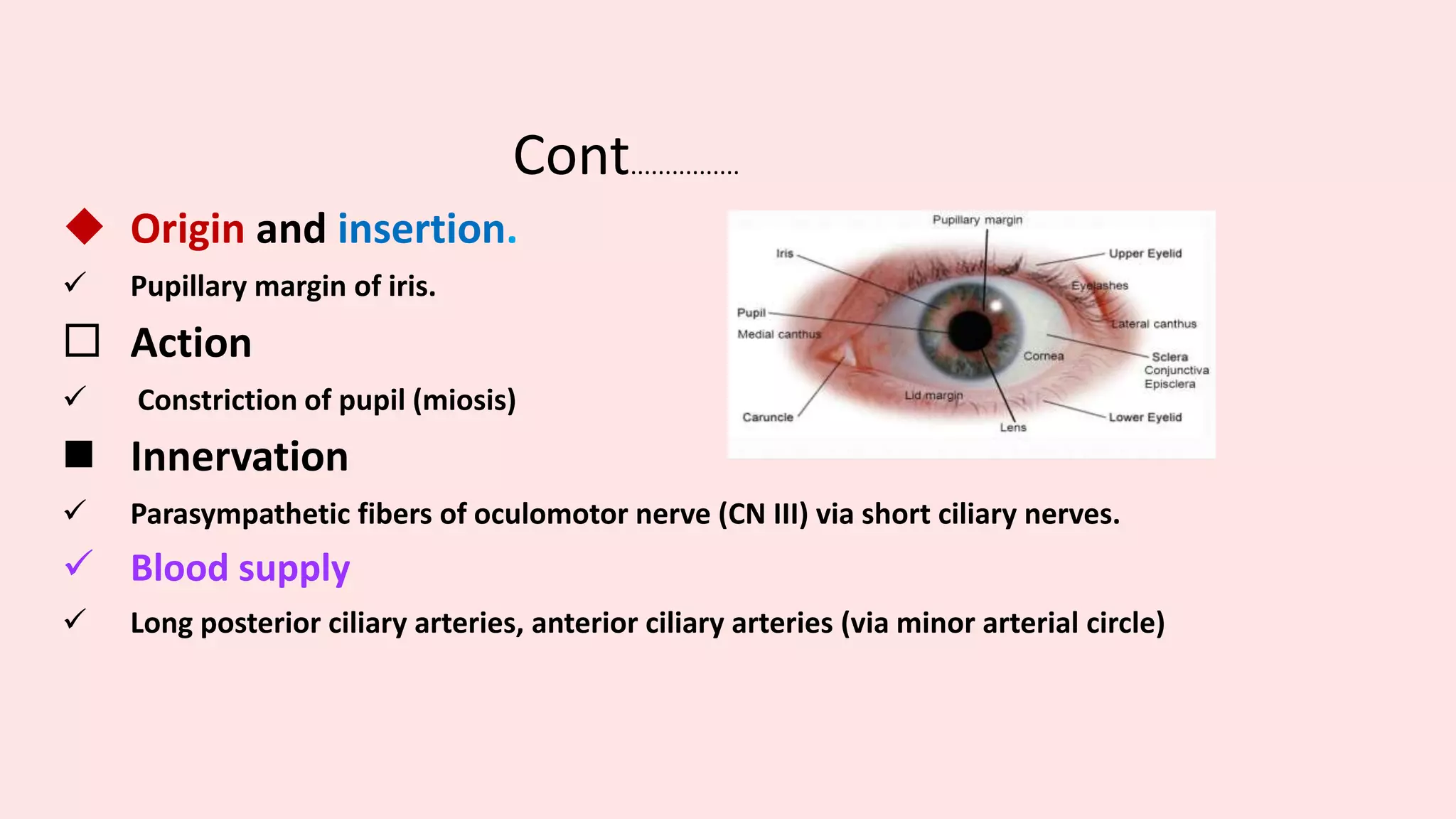 Extraocular muscles.pptx