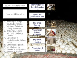New technologies and innovative approaches in rural family poultry | PPT