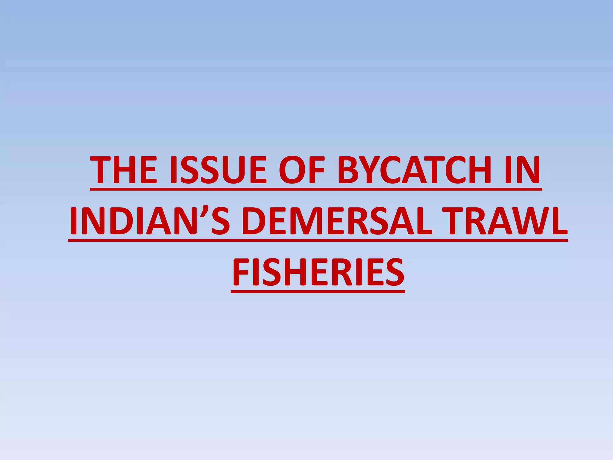 Bycatch | PPTX