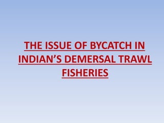 Bycatch | PPTX