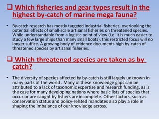 Bycatch | PPTX