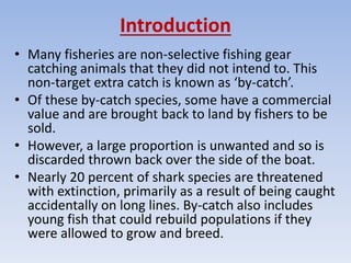 Bycatch | PPTX