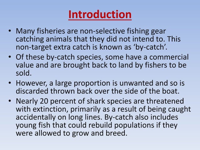 Bycatch | PPTX