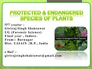Indian Endangered Species Of Plants