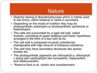 Forensic diatomology | PPTX
