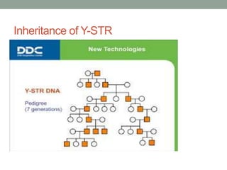 Forensic significance of DNA Profiling (Forensic biology) | PPTX