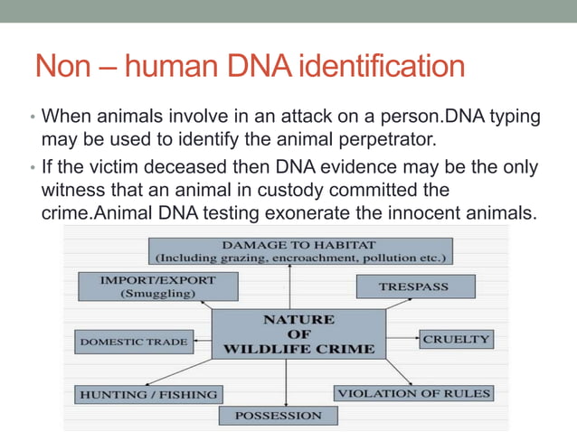 Forensic significance of DNA Profiling (Forensic biology) | PPTX ...