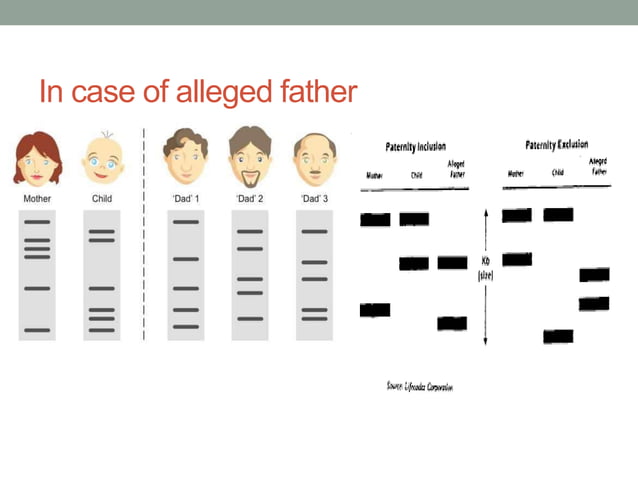 Forensic significance of DNA Profiling (Forensic biology) | PPTX ...