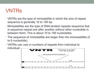 Forensic significance of DNA Profiling (Forensic biology) | PPTX