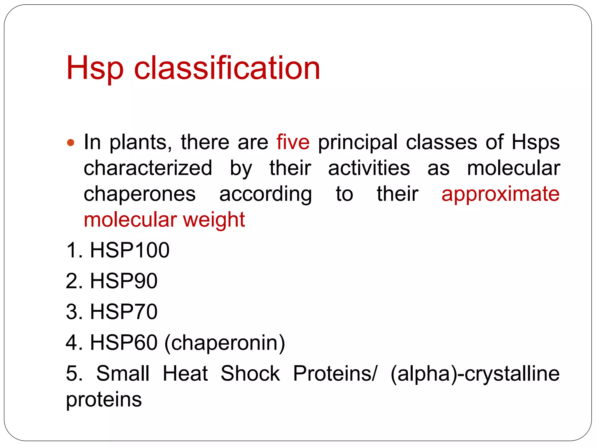 HEAT SHOCK PROTEINS | PPTX