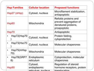 HEAT SHOCK PROTEINS | PPTX