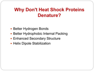 HEAT SHOCK PROTEINS | PPTX