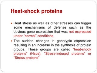 HEAT SHOCK PROTEINS | PPTX