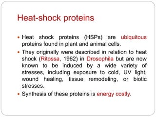 HEAT SHOCK PROTEINS | PPTX