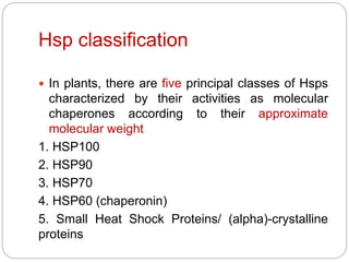 HEAT SHOCK PROTEINS | PPTX