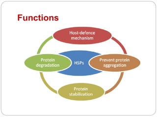 HEAT SHOCK PROTEINS | PPTX