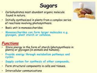 Share Hmb 100 medical biochem lect. 2-1.pptx