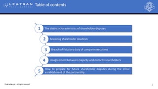 Shareholder disputes | PDF