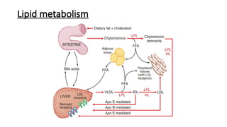 Hypolipidemia, HYPOLIPIDEMIC DRUGS - Vijay.pptx