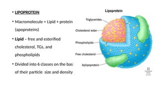 Hypolipidemia, HYPOLIPIDEMIC DRUGS - Vijay.pptx