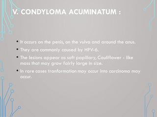 Infectious dermatoses-Pathology | PDF