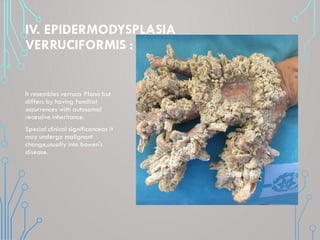 Infectious dermatoses-Pathology | PDF