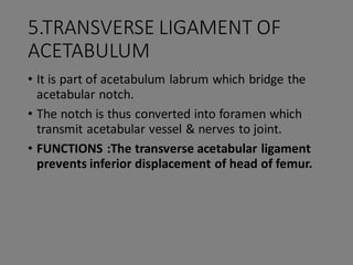 Hip Joint Ligaments-Biomechanics and kinesiology | PDF