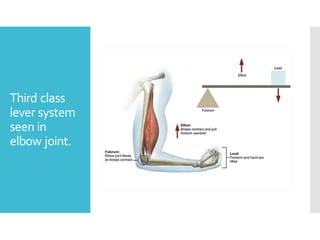 Lever system - Exercise therapy | PDF