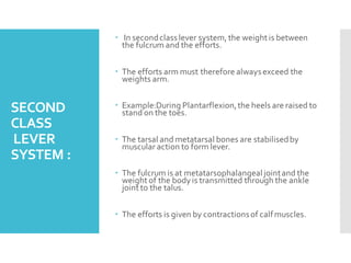 Lever system - Exercise therapy | PDF