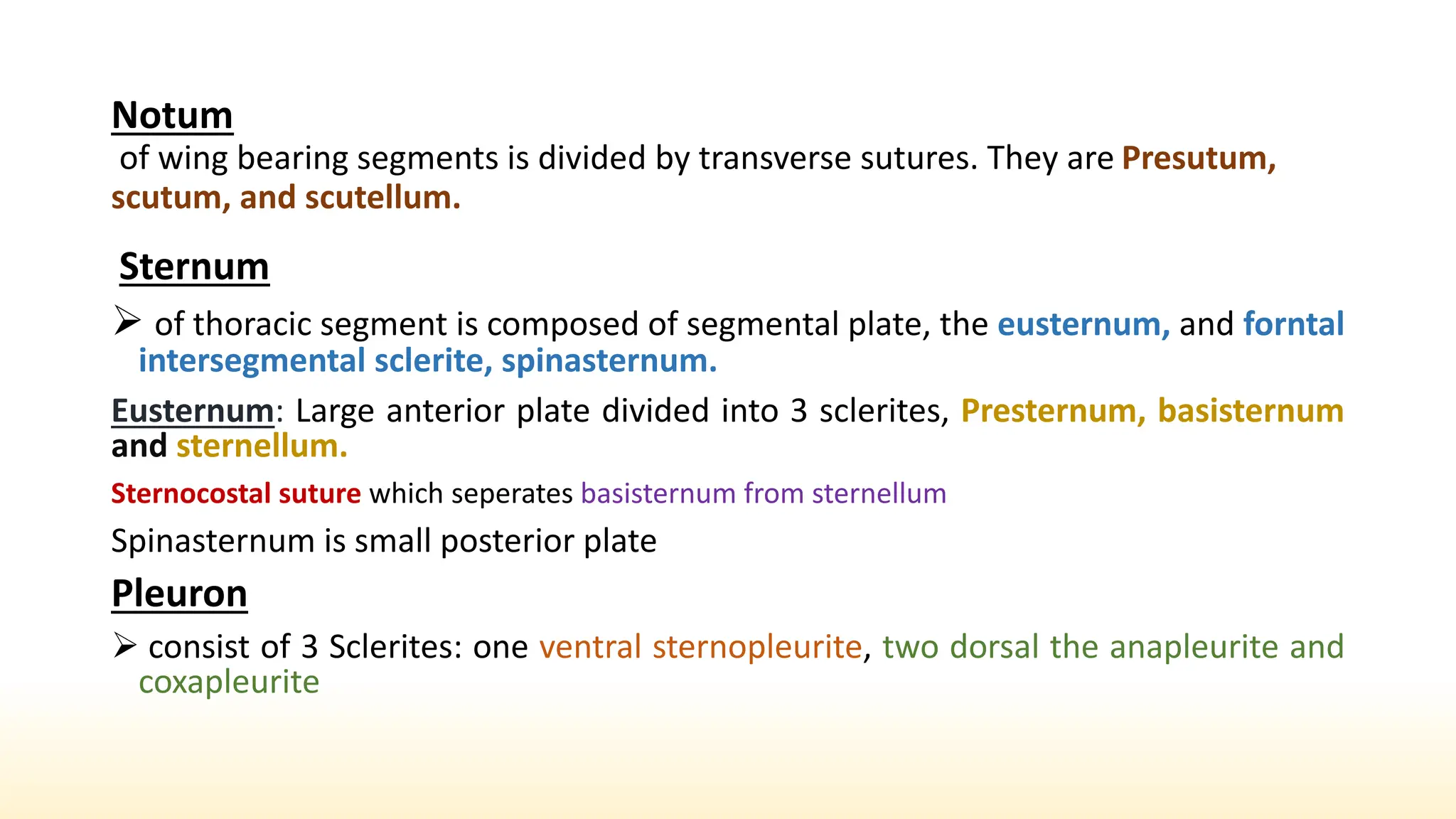 Share insects Sclerites.pptx Insects Plates & sutures | PPTX